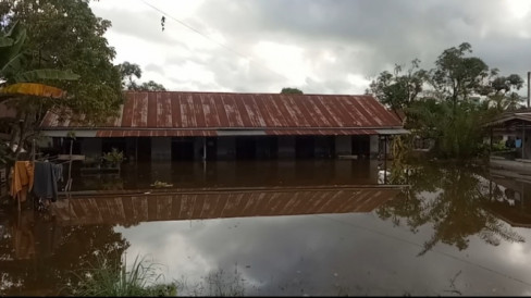 Deforestasi Hutan Penyebab Banjir di Kalimantan Barat