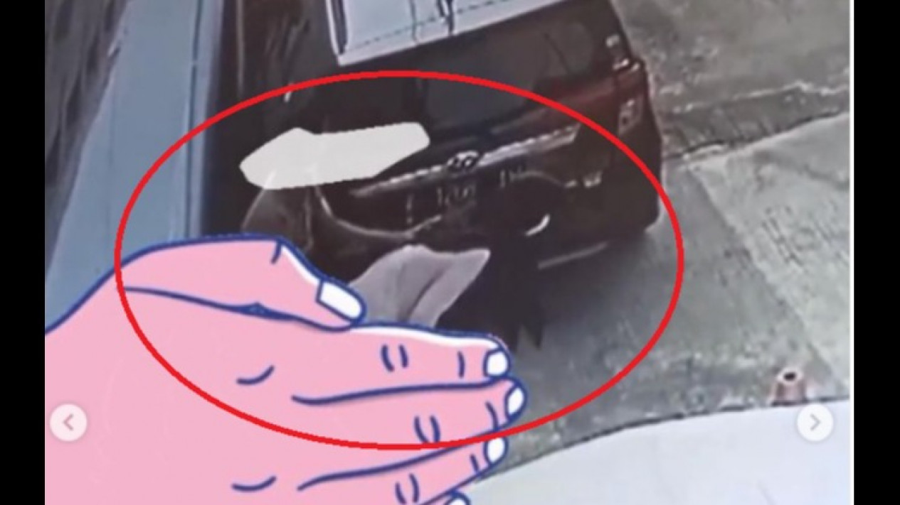Pasangan Muda Mudi Hubungan Intim Di Pinggir Jalan Sunter Terekam Kamera Cctv Pelaku Perempuan