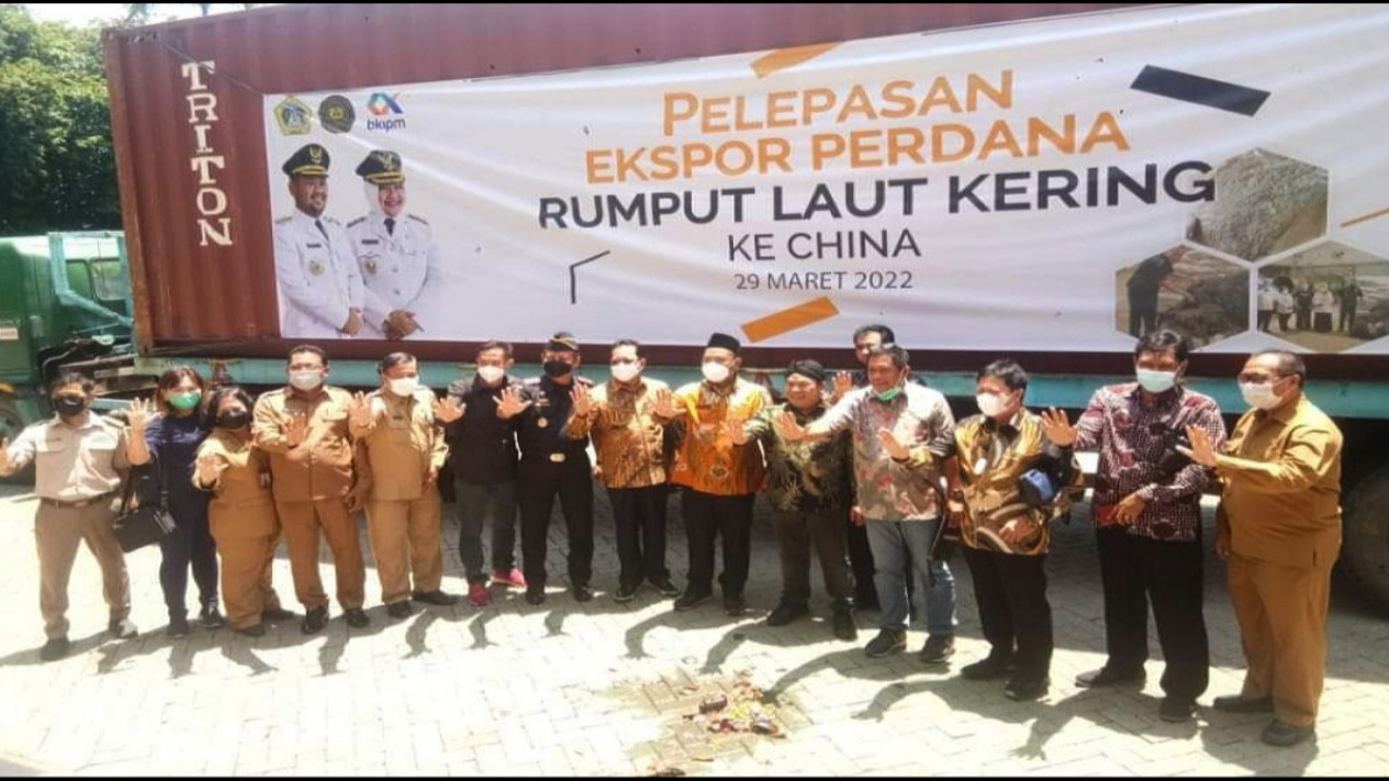 Diekspor ke China, Rumput Laut Kering Produk UMKM Gresik Tembus Pasar ...