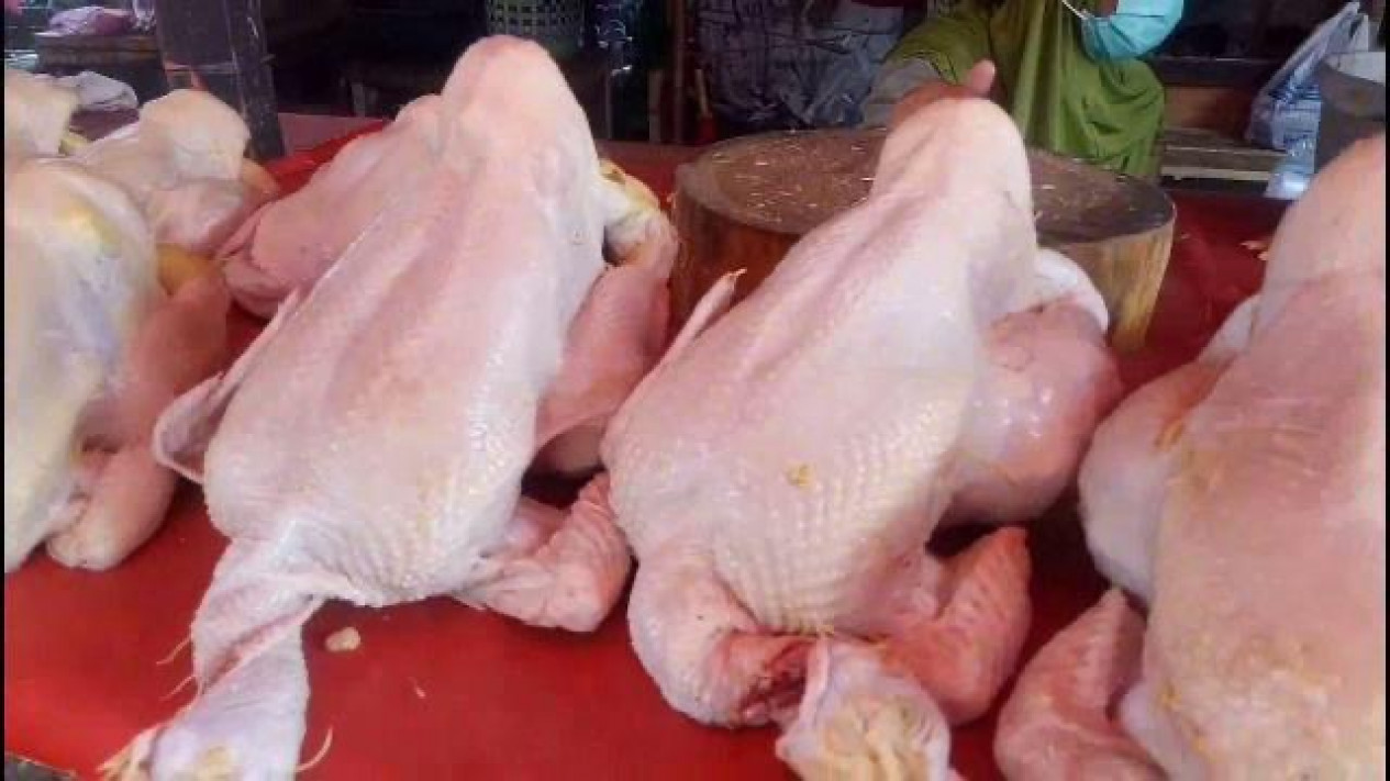Awal Ramadhan, Daging Ayam dan Daging Sapi Alami Kenaikan
