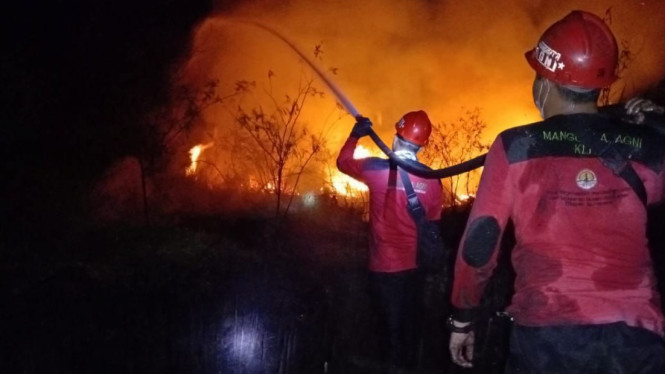 168,66 Hektare Hutan Terbakar di Provinsi Riau Periode Januari-Maret 2022