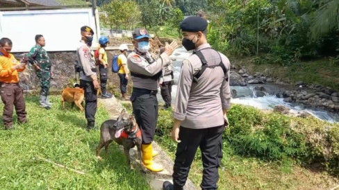 Tim SAR Kerahkan Anjing Pelacak Cari Wisatawan yang Hanyut di Kawasan ...