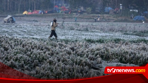 Mengenal Fenomena Embun Upas di Dieng, Cantik Tapi Mematikan Bagi Petani