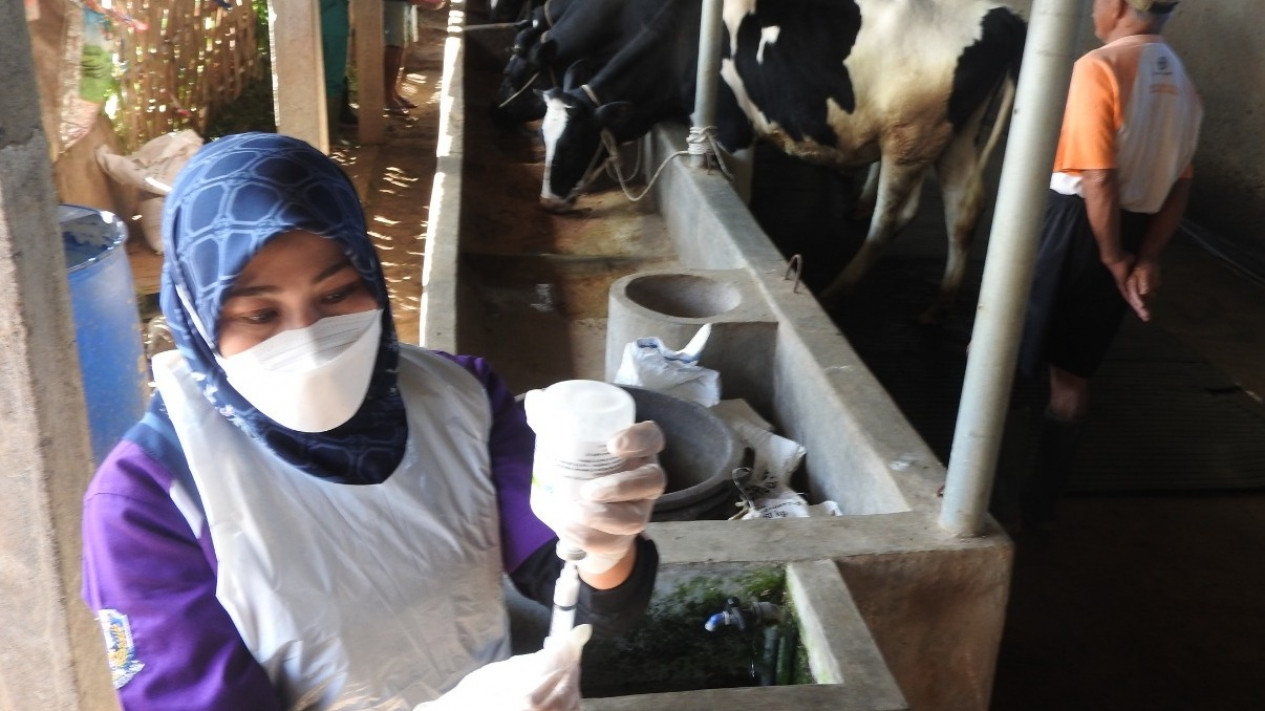 Kota Malang Sukses Selesaikan Vaksinasi PMK 100 Persen