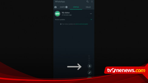 Fitur Baru WhatsApp, Bisa Update Status WA Pake Voice Note