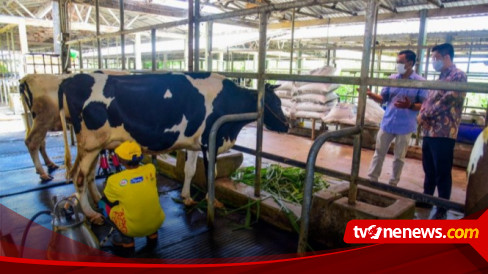 Produsen Es Krim Memperkenalkan Program Kemitraan ke Delegasi Pertemuan Sherpa G20