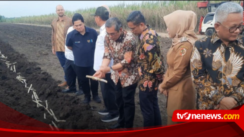Menteri BUMN, Erick Thohir : Targetkan Indonesia Mencapai Swasembada ...