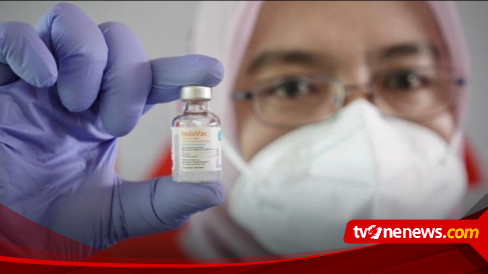 Dijamin Halal, Vaksin IndoVac Resmi Diluncurkan Hari Ini