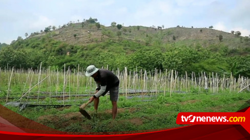 Pegunungan Kendeng Gundul dan Banyak Tambang, Petani di Pati Selatan Cemas