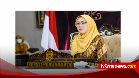 Biodata Bupati Cantik Anne Ratna Mustika, Ternyata Sempat Jadi Juara ...