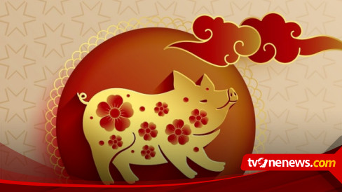 Prediksi Peruntungan Shio Babi di Tahun Kelinci Air 2023, Keuangan ...