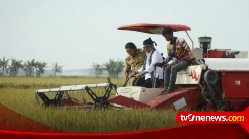 Beras Indonesia Melimpah Ruah, Perpadi Sebut Cari Gabah Sangat Mudah