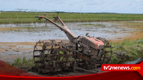 Dengan Alsintan, Panen Raya di Rembang Lebih Menguntungkan Petani