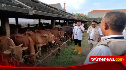 Sepekan Ramadhan Penjualan Daging Sapi Mulai Meningkat, RPH Pastikan ...