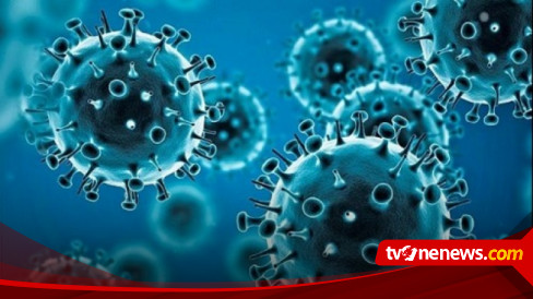 Status Darurat Covid-19 Berakhir, Kemenkes Susun Strategi Transisi di ...