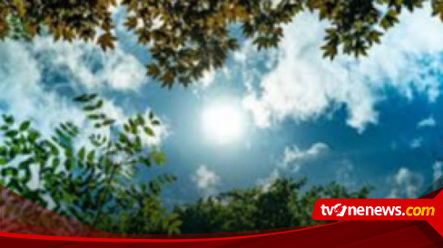 Cuaca Semakin Panas Waspada Terjadinya Heatstroke, Ini Penjelasan Pakar