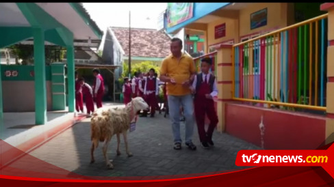 Kisah Ilham, Bocah Kelas 5 SD Asal Lumajang Sisihkan Uang Saku untuk Beli Kambing Kurban