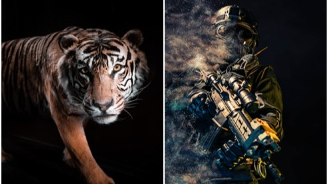 Mengenal Den Harin, Pasukan Harimau Misterius Penjaga Keamanan ...