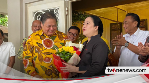 Bunga Mawar Merah-Kuning Simbol 'Rayuan' PDIP untuk Golkar
