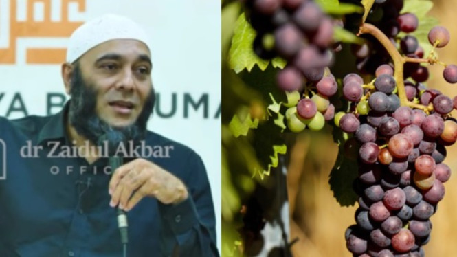 Jangan Buang! Ternyata Biji Anggur Harusnya Dimakan, Ini Kata dr ...