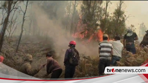 Kebakaran Hutan Akibat Flare di Kawasan TNBTS Tak Kunjung Padam, TNI ...