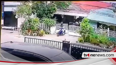 Bak Pelihara Anak Harimau, Sepeda Motor Nenek di Medan Raib Dicuri Pria ...
