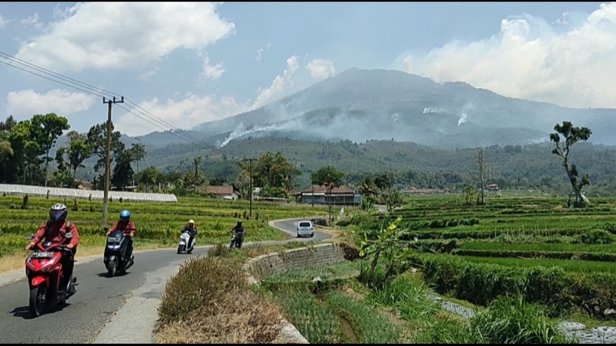 Kebakaran Gunung Lawu Belum Padam, Relawan mulai Kelelahan Berharap ...