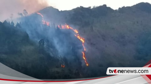 Lereng Gunung Ungaran Kabupaten Semarang Terbakar, Titik Api Terlihat ...