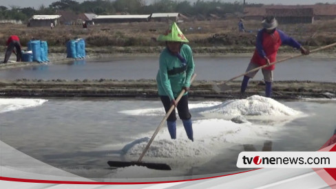 Kemarau Panjang Bawa Berkah Bagi Petani Garam di Pati