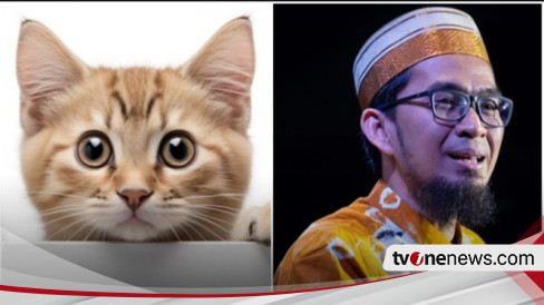 Walau Kucing Wajahnya Lucu, Tingkahnya Menggemaskan, Ustaz Adi Hidayat ...