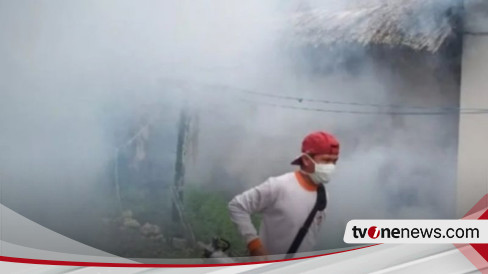 Kasus DBD Meningkat, Pemkot Waspada Demam Berdarah Dengue