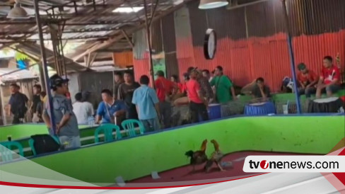 Kasus Judi Sabung Ayam di Bekasi, Polisi Tetapkan 58 Orang Jadi Tersangka
