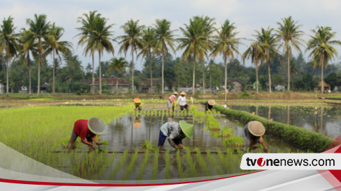Belajar dari China! Begini Seharusnya Dana Desa Rp71 Triliun ...