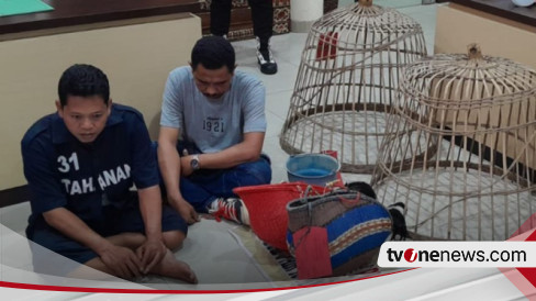 Judi Sabung Ayam di Genuk Semarang Digerebek, Satu Oknum Polisi Diamankan