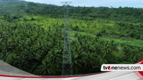 Dorong Ekonomi Lokal! PLN Bangun 577 Tower di Halmahera, Ribuan ...