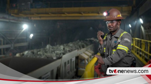 Antam Beli Emas Freeport 30 Ton Tiap Tahun, Kucurkan Dana Hingga Rp200 ...