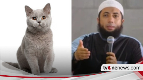 Kalau Pelihara Kucing di Rumah Tolong Perhatikan ini, Kata Ustaz Khalid ...