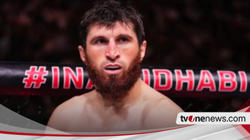 Pecundangi Alex Pereira, Raja Baru UFC Magomed Ankalaev Disambut Meriah ...