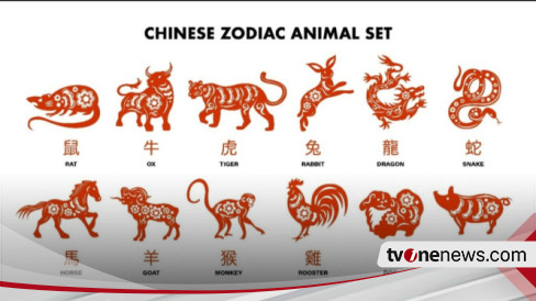 Ramalan Shio Minggu Ini 12-18 Mei 2025 untuk Shio Tikus, Kerbau, Macan ...