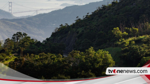 Cuaca Makin Panas dan Gerah? Yuk, Kurangi Emisi Karbon Lewat Energi ...