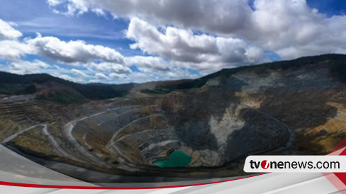 Alexander Ramlie Tiba - Tiba Mundur dari Posisi Direktur Utama PT Amman ...