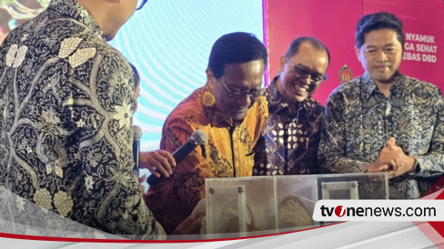 Lawan Penyakit DBD, Pemerintah DIY Keluarkan Program Gerakan Bebas ...