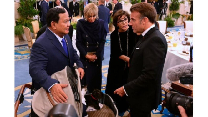 Momen Macron Bertemu Kucing Presiden Prabowo "Bobby Kertanegara" di Istana