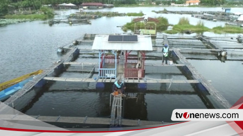 PLTS di Keramba Nelayan Danau Ranu Dorong Transisi Energi dan ...