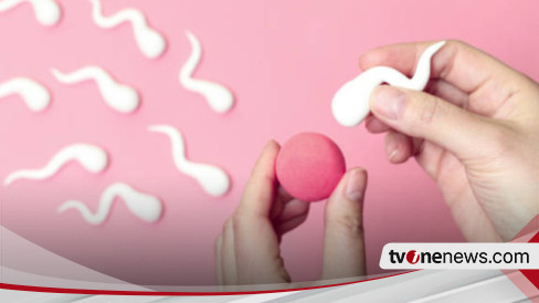 Mengeluarkan Sperma Setiap Hari Memang Ada Manfaatnya? Ternyata Begini Dampaknya Dari Segi Kesehatan