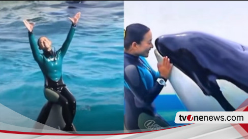 Viral Jessica Radcliffe Dimakan Orca, Benarkah Paus Bisa Telan Manusia?
