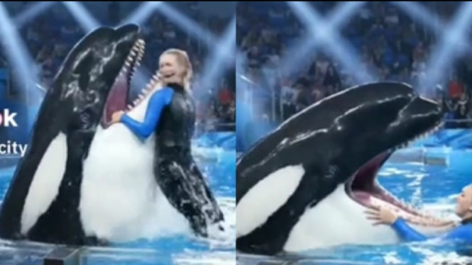 Duh-duh, Canggihnya AI Bikin Geger Dunia: Video Jessica Radcliffe Tewas ...